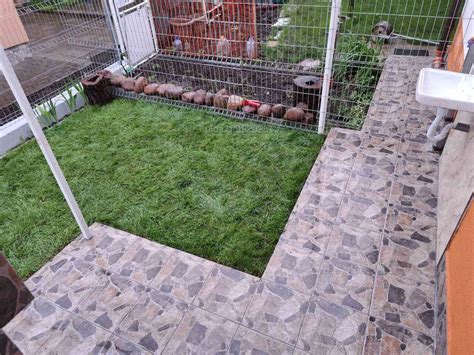 къща Лозен Едноетажна къща 30 кв м Обзаведена Къщи под наем Лозен Ремонтирана напълно