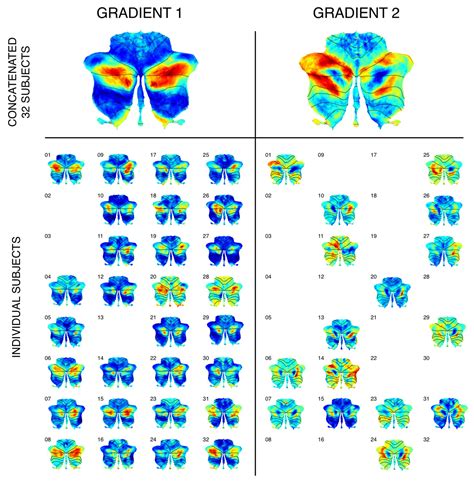 Figures And Data In Functional Gradients Of The Cerebellum Elife