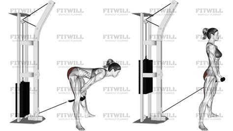 Cable Glute Dominant Step Up Exercise Guide Video Techniques Benefits How To Muscles