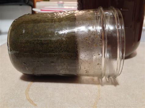 DIY Instant Kelp Meal Tea Coots Hydrated Kelp Meal Trick 420SativaLeaf