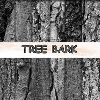 Tree Bark Digital Paper Tree Bark Textured Background By DIGITAL NEVERLAND