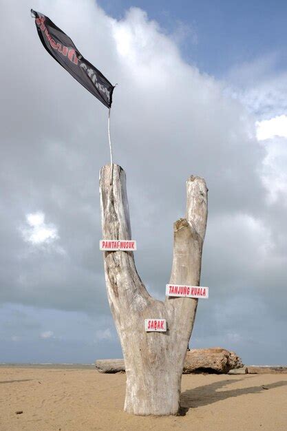 Premium Photo A Tree Stump With A Sign Saying Danger On It That Says Danger