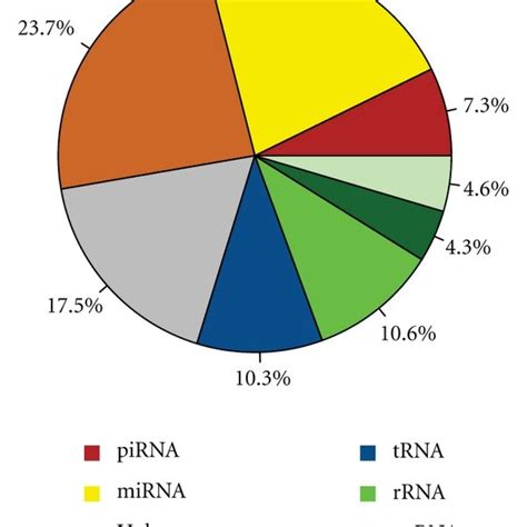Distribution Of Small Rna Sequences A Distribution Of 7498
