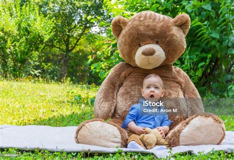 달콤한 작은 아기 소년 놀이 와 그의 거대한 테디 베어 에 The 공원 갈색에 대한 스톡 사진 및 기타 이미지 갈색 개념 개념과 주제 Istock