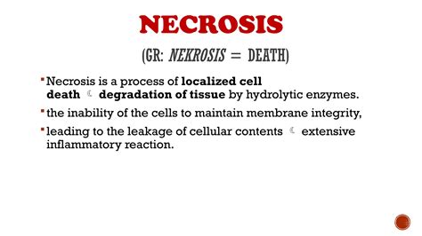 Cell Death And Necrosis Types Spptx