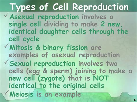 Cell Cycle And Cell Division Lecturepptx