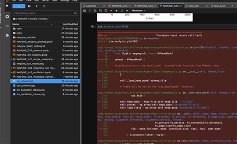 Sanyheadmat Missing When Plotting Eeg From Jupyter Lab · Issue 649 · Metacellnetpyne Ui · Github