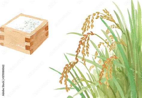 Stock Vector Adobe Stock
