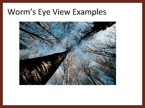 Photographic Angles Worms Eye View Vs Birds Eye