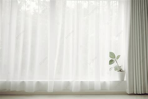 창문에 흰 커튼 고해상 곱창 곱창구이 배경 일러스트 및 사진 무료 다운로드 Pngtree