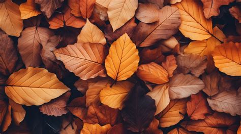 갈색 빨간색 노란색가 단풍 이을 요소 추석 메이플 리프 클립 아트 밤색 노랑 Png 일러스트 및 벡터 에 대한 무료 다운로드 Pngtree