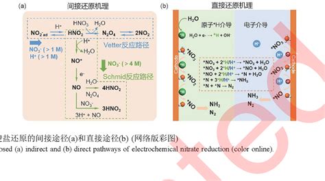 Figure 1 From Recent Advances In Electrochemical Nitrate Removal Technology In Water Semantic
