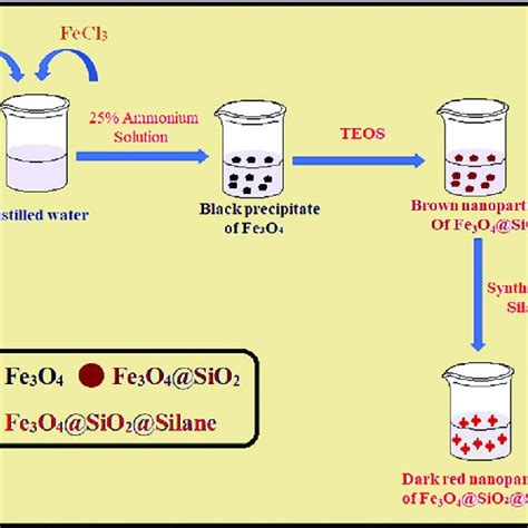 Schematic Diagram Of The Synthesis Of Fe O SiO Silane Download Scientific Diagram