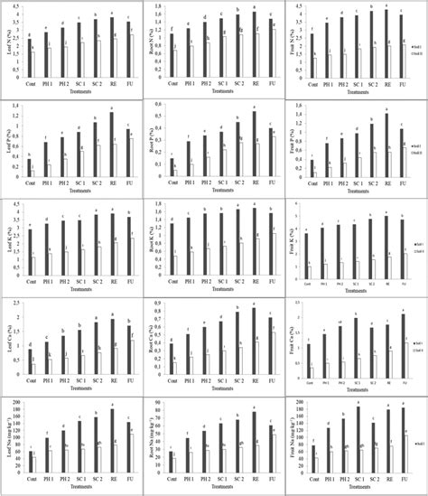 Effects Of Biostimulant Treatments Table 2 On N P K Ca And Na