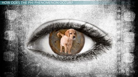 Phi Phenomenon Definition And Examples Lesson