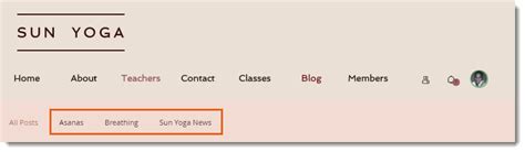 Wix Blog Creating And Managing Blog Categories Help Center