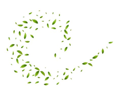 움직이는 현실적인 녹차 잎 프리미엄 벡터