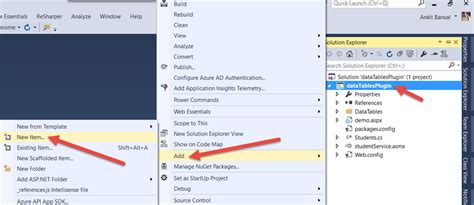 Display Data In Aspnet Using Jquery Datatables Plugin