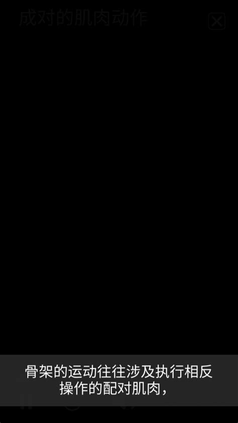 视频无法播放 undefined 雷电安卓模拟器论坛