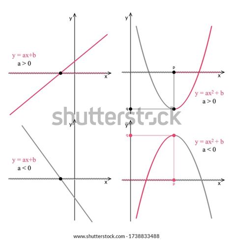 Graph Quadratic Linear Functions On White Stock Vector Royalty Free 1738833488 Shutterstock