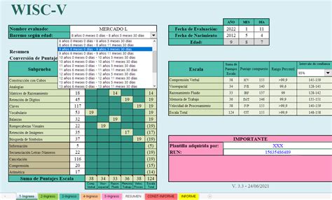 Test Wisc V Con Informe Gráfico Y Textual Corrección Con Software