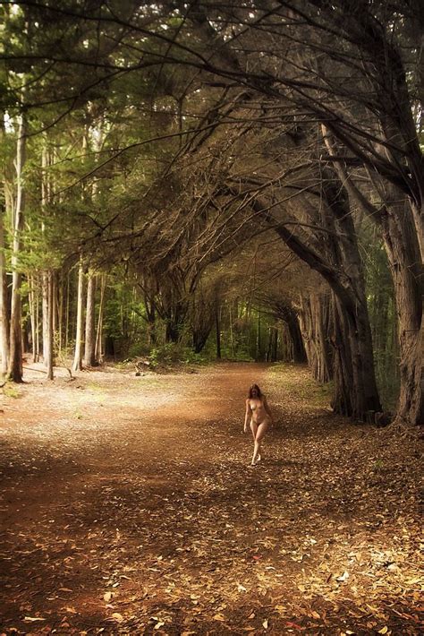 Pin By Xiangisli On Landscape Walk In The Woods Landscape Road
