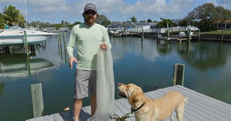 Whats The Best Cast Net For Whitebait In Shallow Water