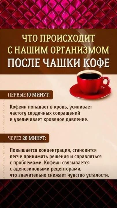 Все были в шоке когда правда вскрылась Youtube