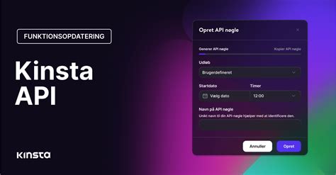 vi introducerer kinsta api automatiseringens kraft til administration