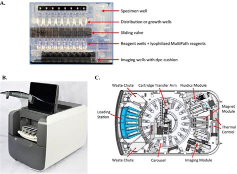 Multipath Cartridge And Analyzer A Picture Of A Multipath Uti Download Scientific Diagram