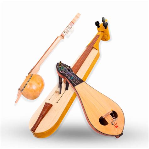 Bowed String Instruments