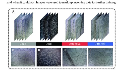 Original Dataset Consisting Of 4 Image Categories A Good Dark Download Scientific Diagram
