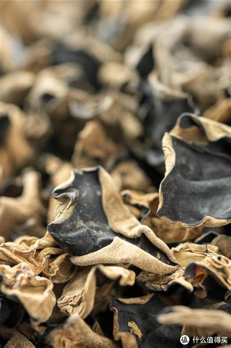 全国有多少种“木耳”？哪个品种最好吃？今天全读懂，来涨知识了 南北干货 什么值得买