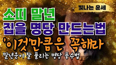 소띠운세 말년운세🏠명당자리 소띠는 이것해야 집 명당 만듭니다🏘️명당풍수 이사갈때 이렇게 해야 재물운 열립니다🌳말년운 말년운이 좋은 사주 소띠 운세 소띠금전운 노년의집