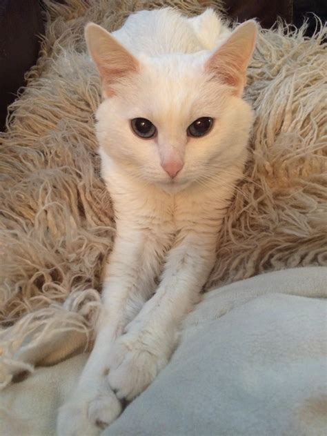 My Year Old Audrey R Aww