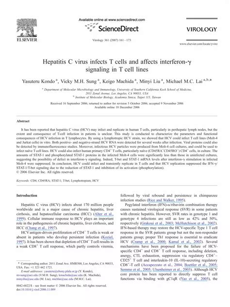 Pdf Hepatitis C Virus Infects T Cells And Affects Interferon γ Signaling In T Cell Lines