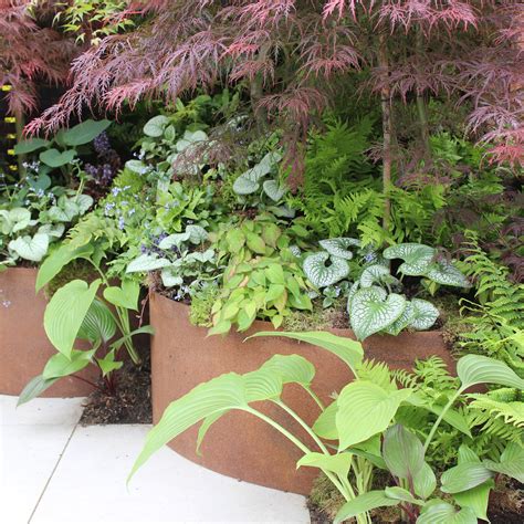 The 7 Container Garden Mistakes To Avoid For A