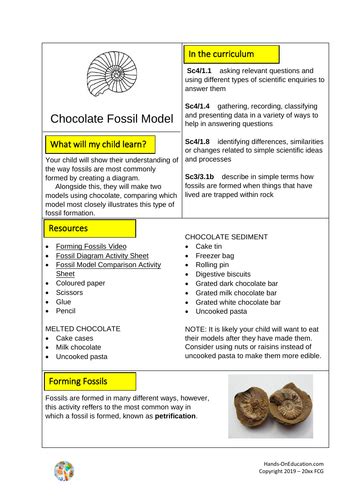 Ks2 Fossils Bundle Hands On Education Teaching Resources