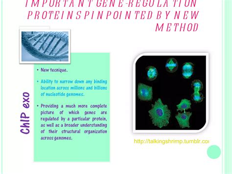 Folding Molecular Biology Ppt