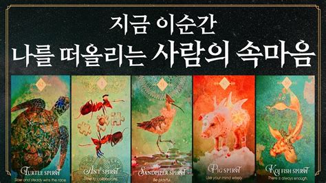 타로 지금 이 순간 내 생각하는 사람의 속마음 Youtube 타로 지금 이 순간 내 생각하는 사람의 속마음 Youtube