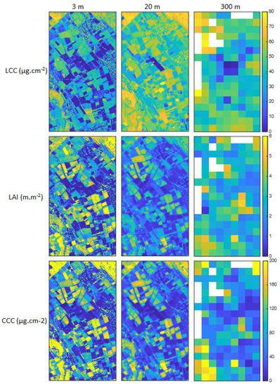 Remote Sensing Special Issue Leaf And Canopy Biochemical And