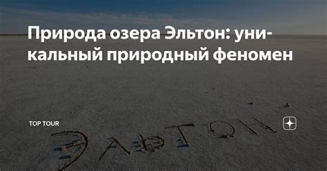 Природа озера Эльтон уникальный природный феномен Top Tour Дзен