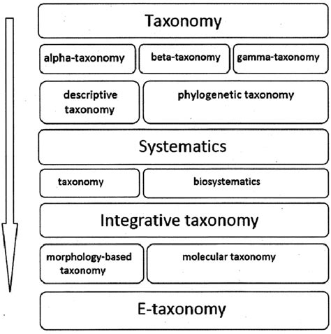 Chart On Evolution In Interpretation Of Taxonomy Download Scientific Diagram