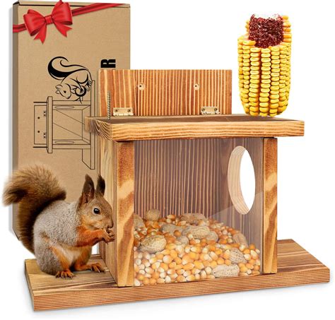 Why Do Chipmunks Chirp 3 Reasons Behind It Squirrel University