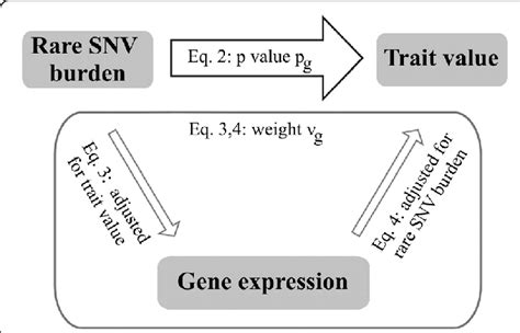Informed P Value Weighting For Genes Based On Conditionally Independent Download Scientific