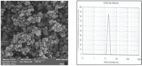 Fesem Image Showing Microstructure Of Zinc Oxide Nanoparticles
