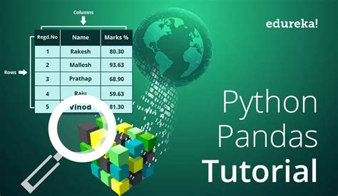 The Pandas Guide For Python Beginners