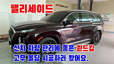 팰리세이드 신차 오염방지 차단에 좋은 윈드킹 고무몰딩 시공하러 왔어요 신차 아이템 추천 Youtube
