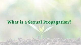 Sexual Propagation Seed Propagation Version 2 PDF