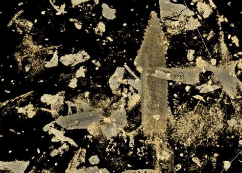 Lets Go Scanning Prepping With X Rays Fossil Preparation The